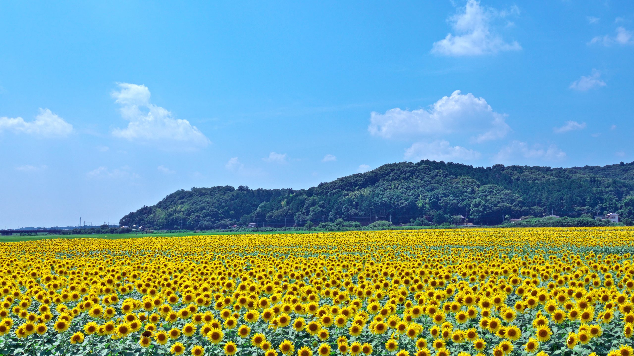 SONY】Cyber-shot DSC-RX10M4で撮影された「カメラを持って旅に SONY】Cyber-shot DSC-RX10M4で撮影された「カメラを持って旅に